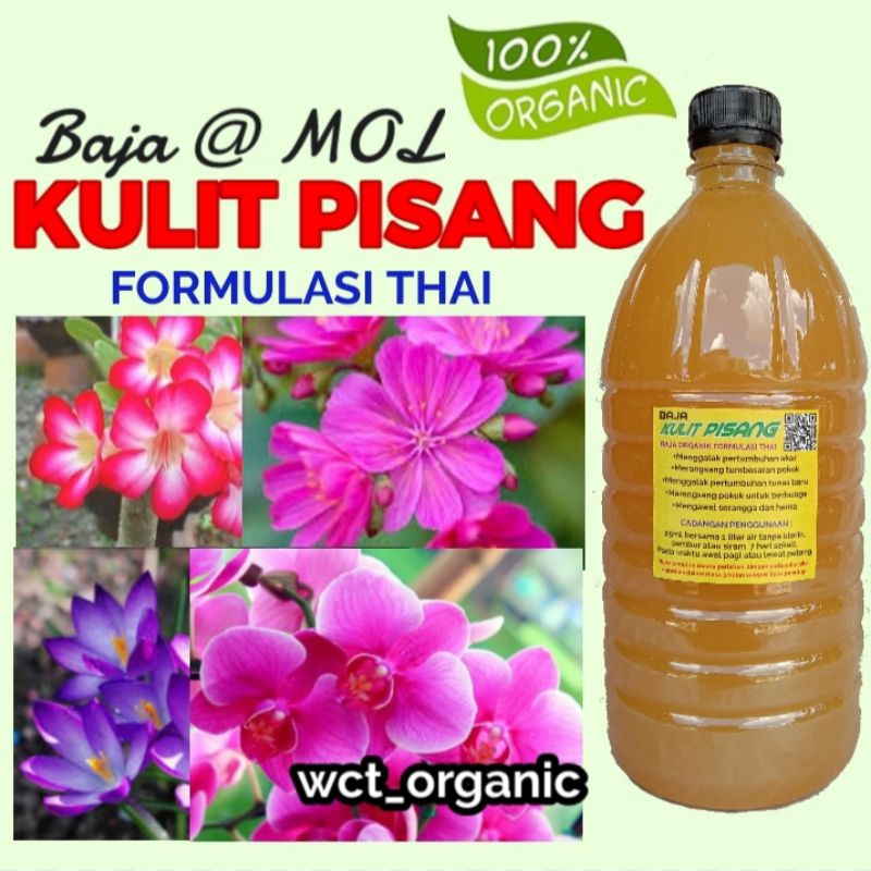 Baja organik - baja kulit pisang , booster tanaman , PATI PEKAT ...