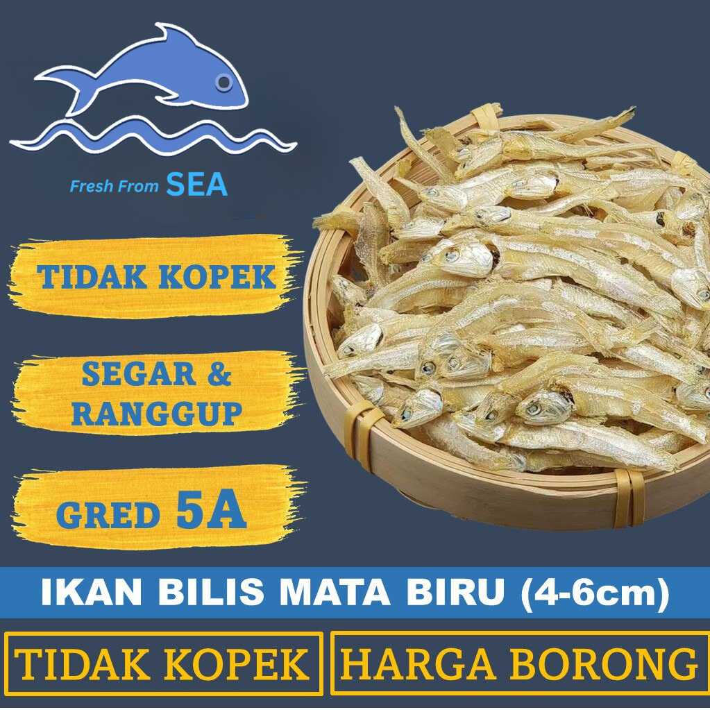 500g | 1000g【 HARGA BORONG 】 (Belum Kopek) Ikan Bilis Mata Biru Saiz M ( Gred 5A ) Rangup Lembut ...