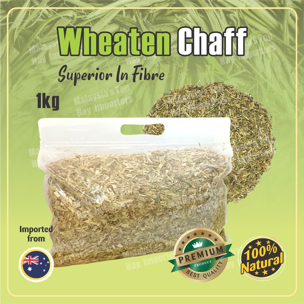 Premium quality - imported Wheaten / Alfalfa chaff for small pets ...
