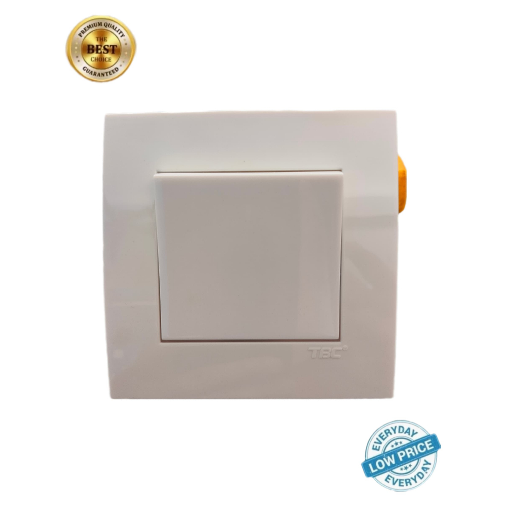 TBC 1 GANG/ 2 GANG/3 GANG /4 GANG 1 WAY SWITCH (10A 250V) | Shopee Malaysia