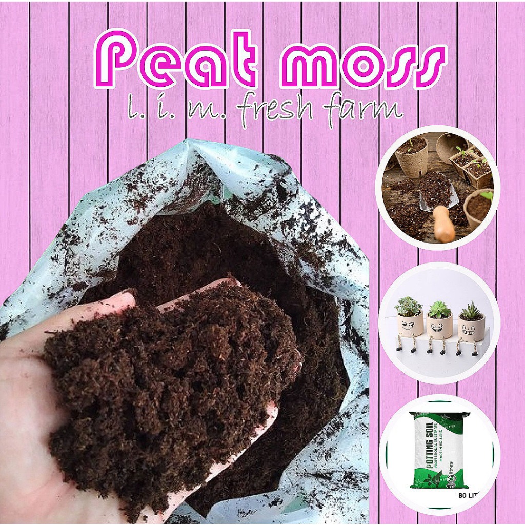 Peatmoss Imported Coarse Grade Peat moss Soil for Seedings Substrate ...