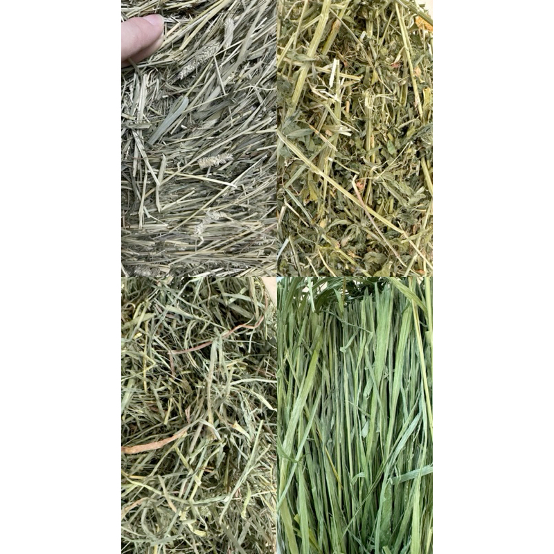 Fresh US imported Premium A Hay/ Timothy hay/ Alfafal Hay / Orchard Hay ...