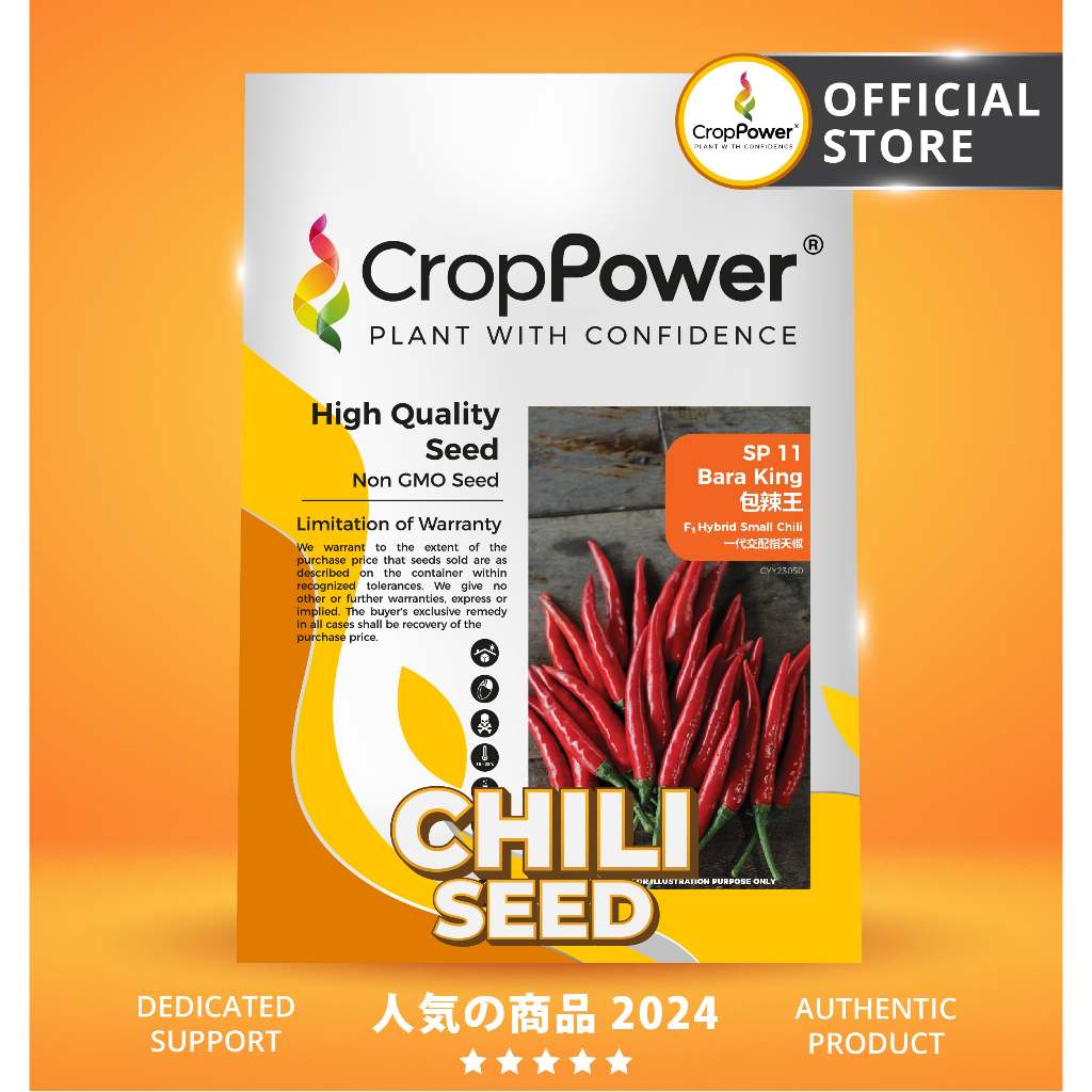 (10 GRAM) Biji Benih Cili Api Bara King 包辣王 SP11 CROP POWER F1 Hybrid ...