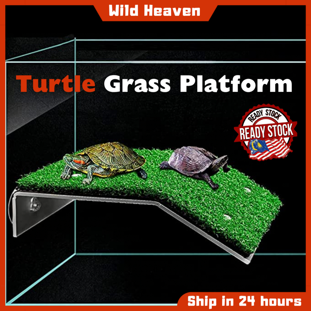 Turtle Grass Basking Platform Tortoise Accessories Reptile Tank Ladder ...
