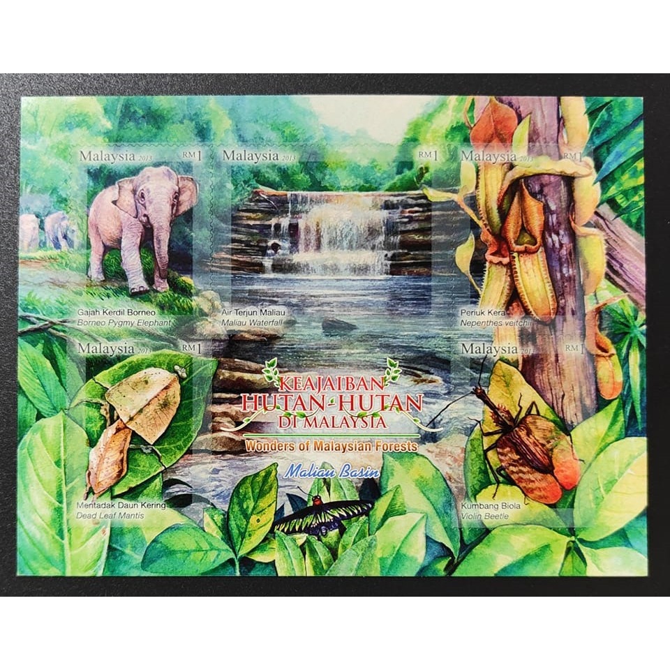 [MSV-0005] 2013 Keajaiban Hutan-Hutan Di Malaysia / Wonders of ...