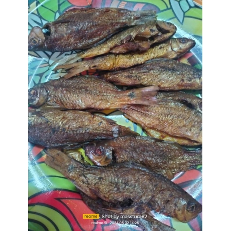 ikan sungai segar salai | Shopee Malaysia