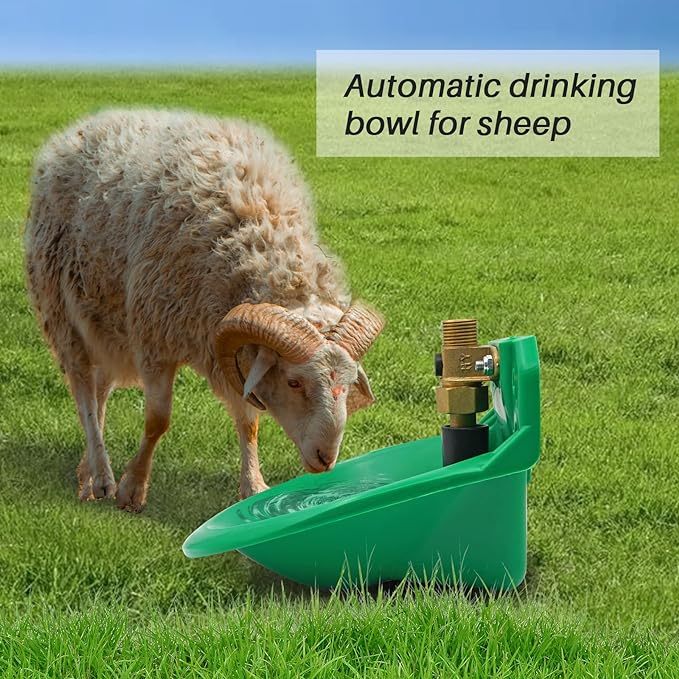 Automatic Sheep Bowl Water Valve Stable and Automatic Drinker Cow Water ...