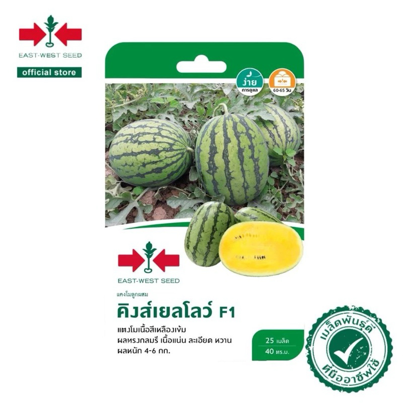 25Biji Benih Tembikai Kuning F1 Hibrid / Yellow Watermelon / East West ...