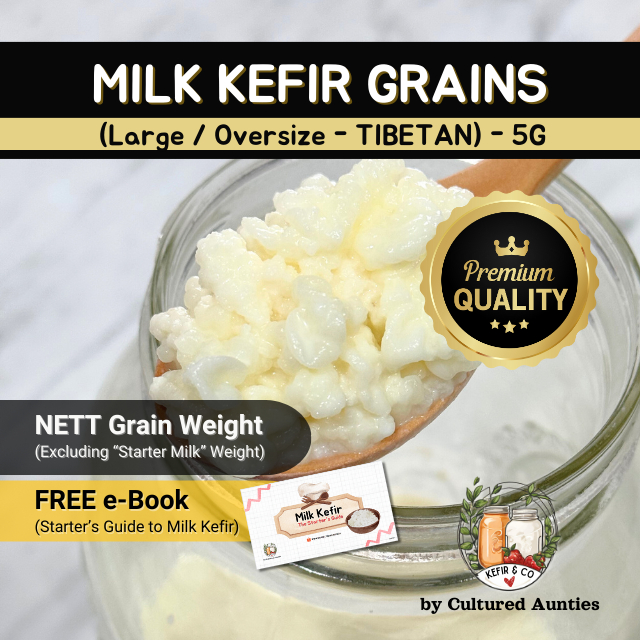 [KEFIRCO] Active Milk Kefir Grains (Large - Tibetan) (5G) Ibu Kefir ...