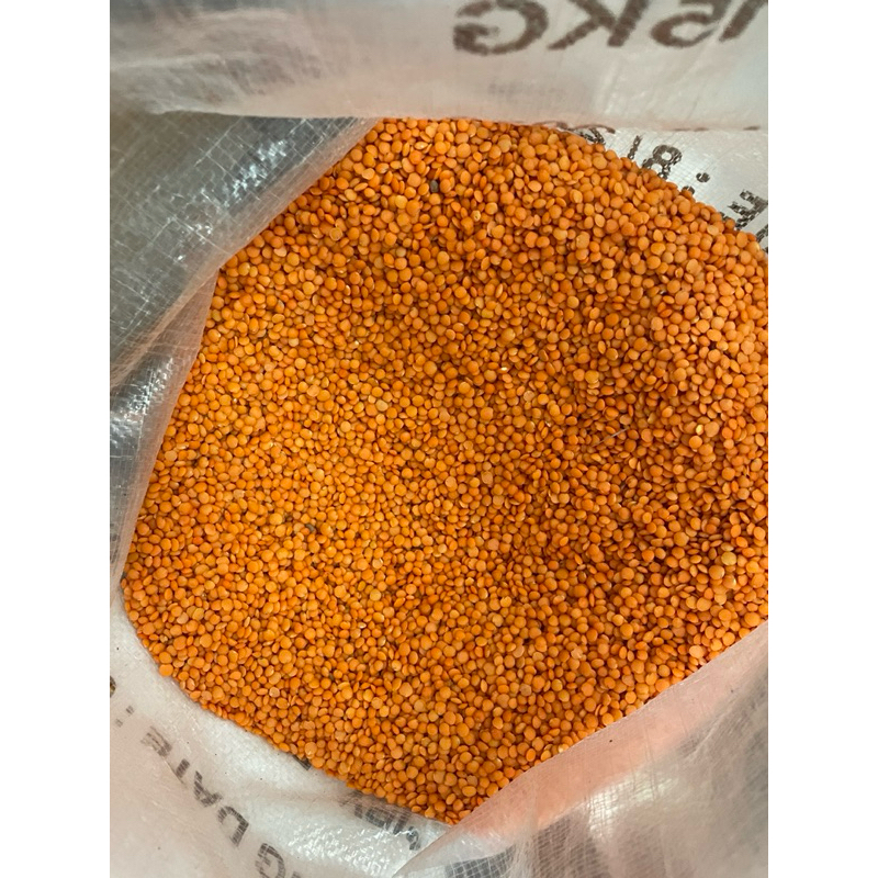 DHALL MERAH / MASOOR GOTA 500g/1kg | Shopee Malaysia