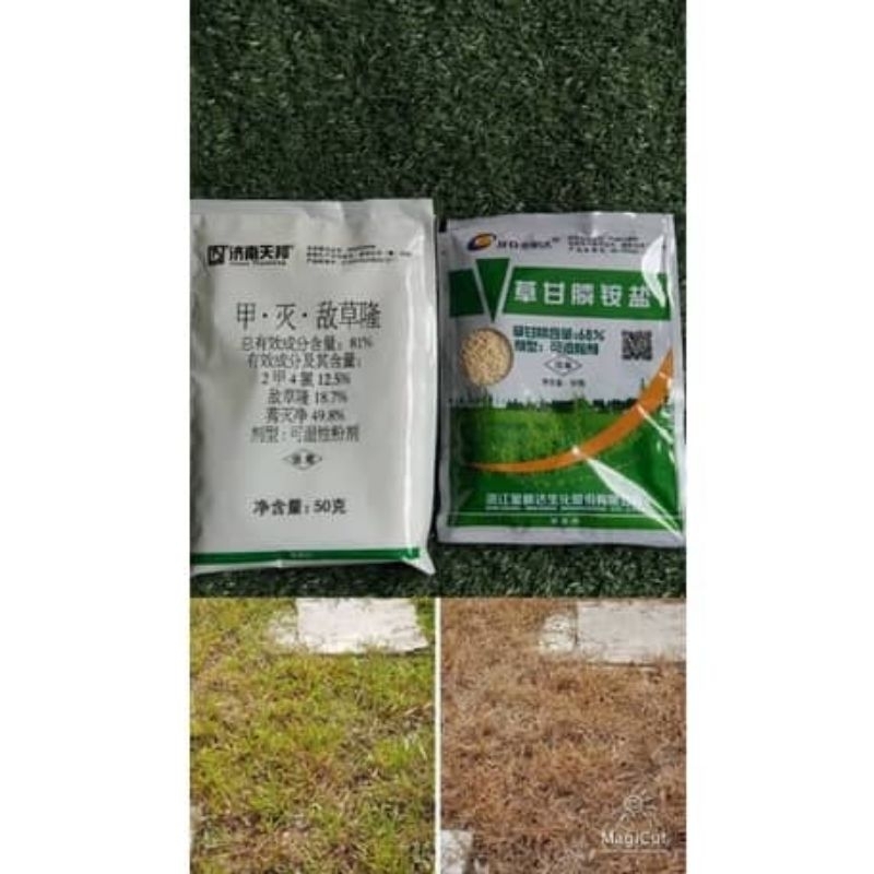 Set Racun Rumput + Diuron untuk Rumput sambau / Rumput Israel | Shopee ...
