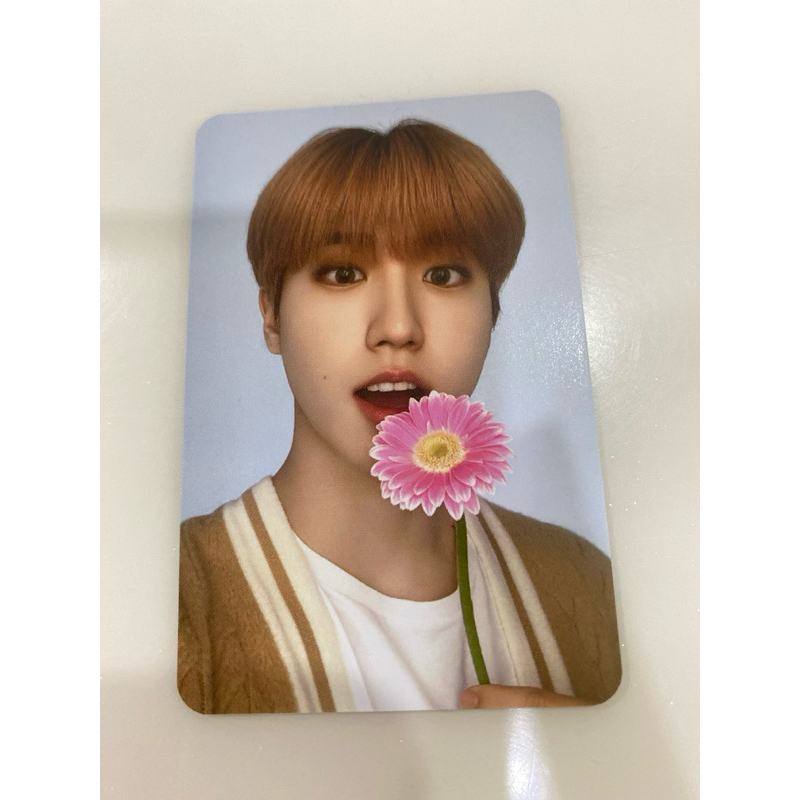 Nacific Han Jisung (D) | Shopee Malaysia