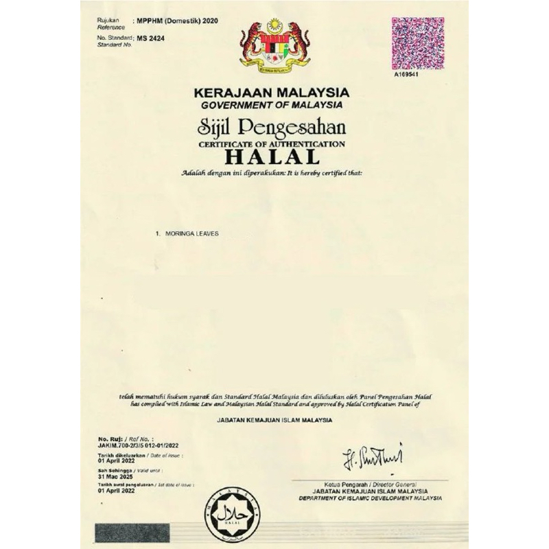 Max Moringa (medslife) - kapsul moringa 💯 selamat & diuji makmal ...