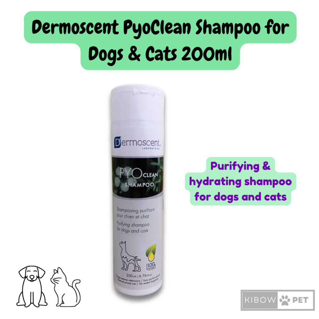 Dermoscent PyoClean Shampoo for Cats and Dogs (200ml) | Shopee Malaysia