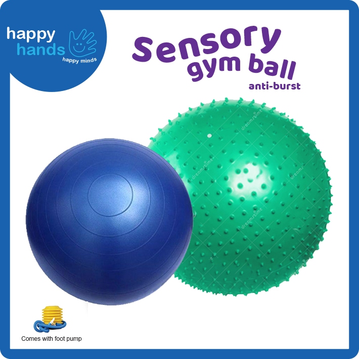 Sensory Gym Ball for Core Muscle & Vestibular Exercises | Shopee Malaysia