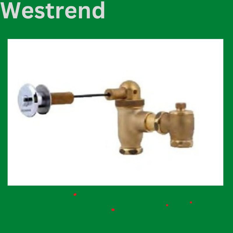 Westrend Dc-107 concealed flush valve duct type | Shopee Malaysia