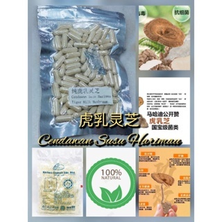 Cendawan Susu Harimau(Serbuk & kapsul)/虎乳芝/虎乳菌 (粉/丸)/Tiger Milk ...