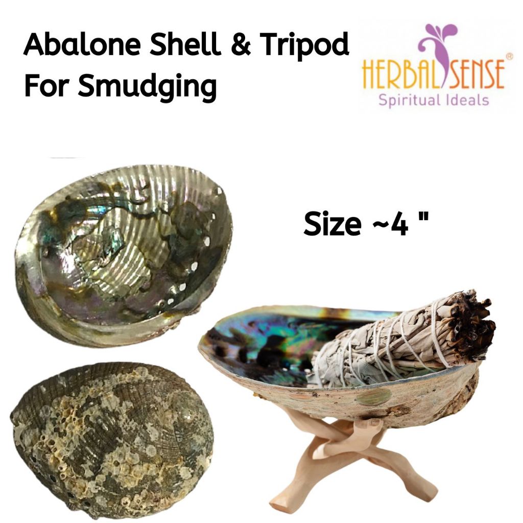 SI Smudging Abalone Shell ~4 " and Wooden Tripod Stand 4" Natural Wood ...