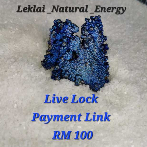 Live Payment Link RM100 | Shopee Malaysia