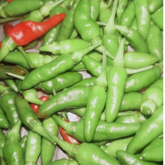 Cili Api Kampung 35g | Shopee Malaysia