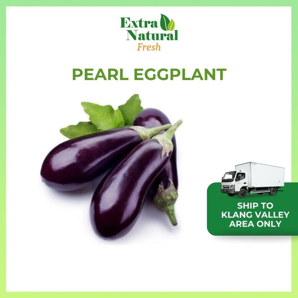 Fresh Pearl Eggplant 1pcs (+/-300g) (Terung Mutiara) |Fresh Vegetable ...