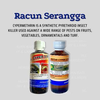 Hextar BL Cyper 5.5EC Racun Serangga Anti Semut Lalat Lipas Kuya Pokok ...