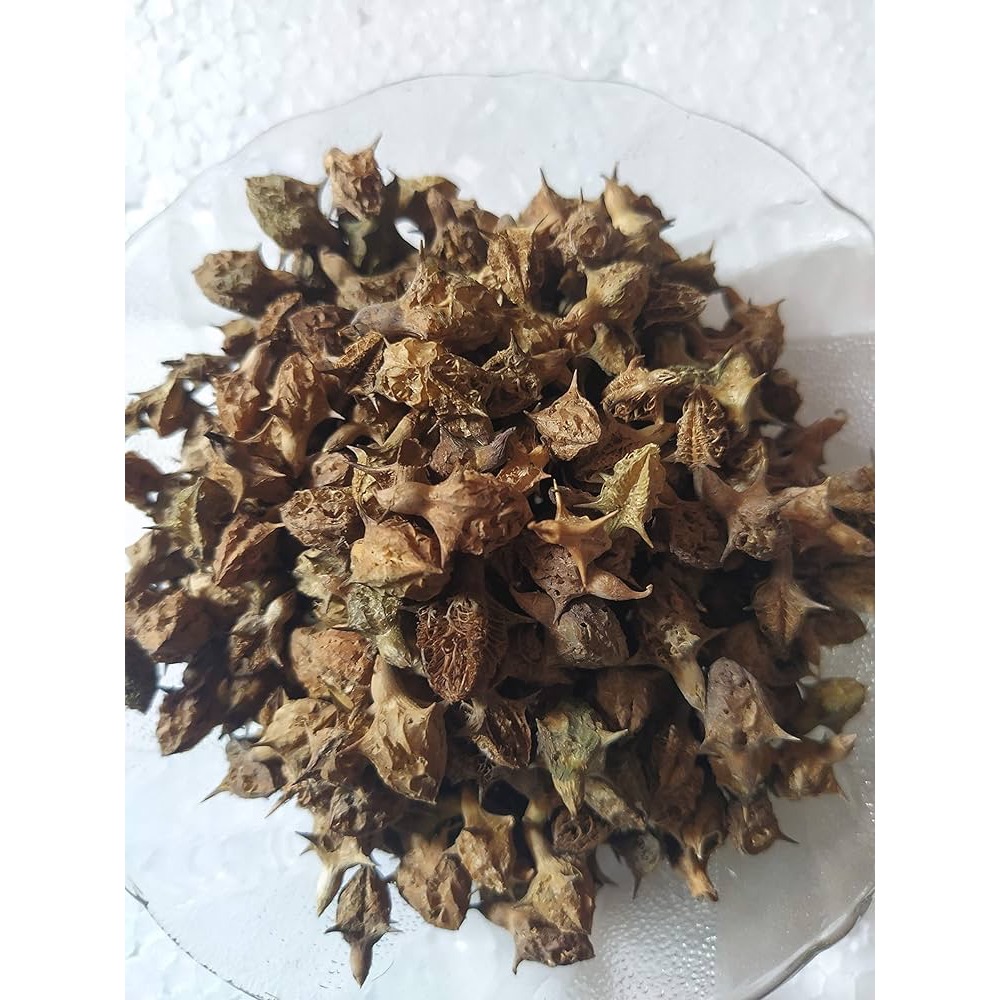 bara gokhru large caltrops dried (pedalium murex) anai nerunci aane ...
