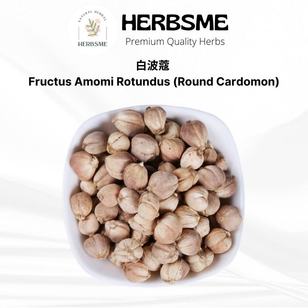 白波蔻 白蔻 白豆蔻 30g Fructus Amomi Rotundus (Round Cardomon) / 中药材 Chinese ...