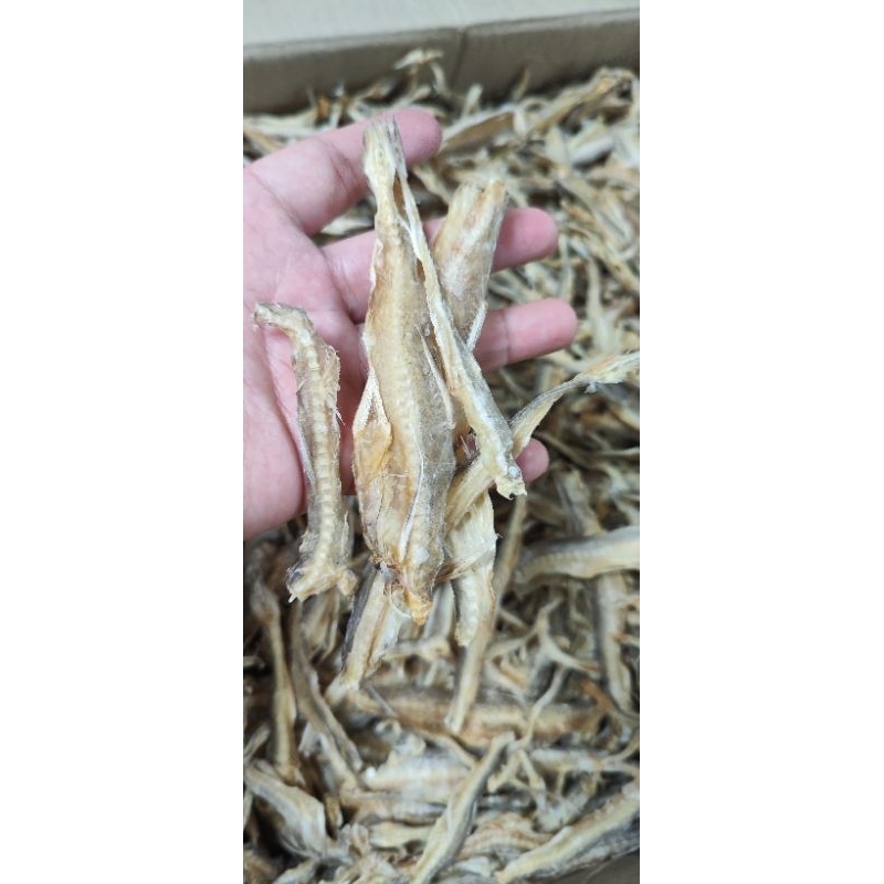 Ikan masin -Ikan rumi西丁咸鱼/salted fish 100g | Shopee Malaysia