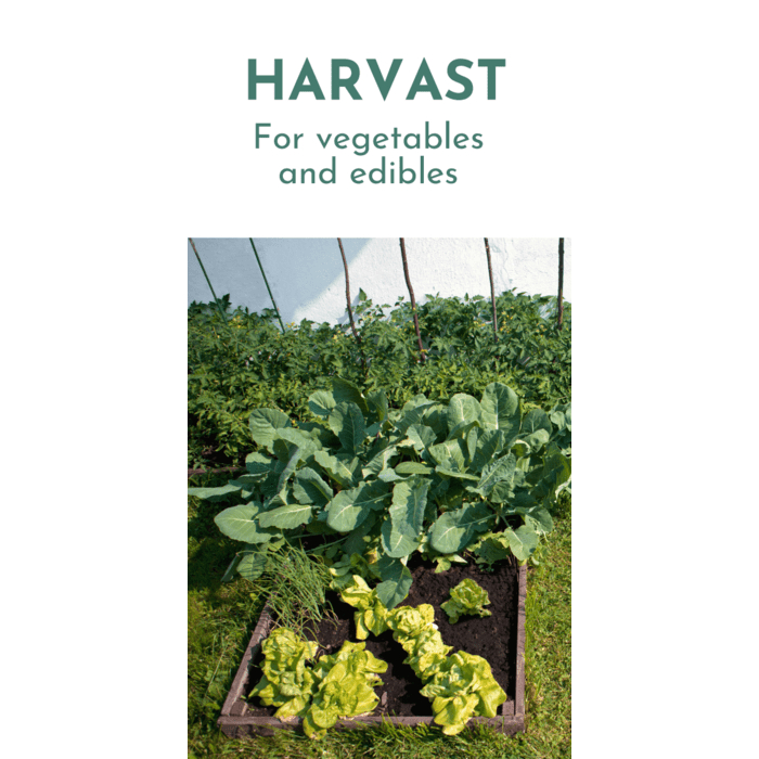 Harvast Photosynthesis Enhancer - Harvast | Shopee Malaysia