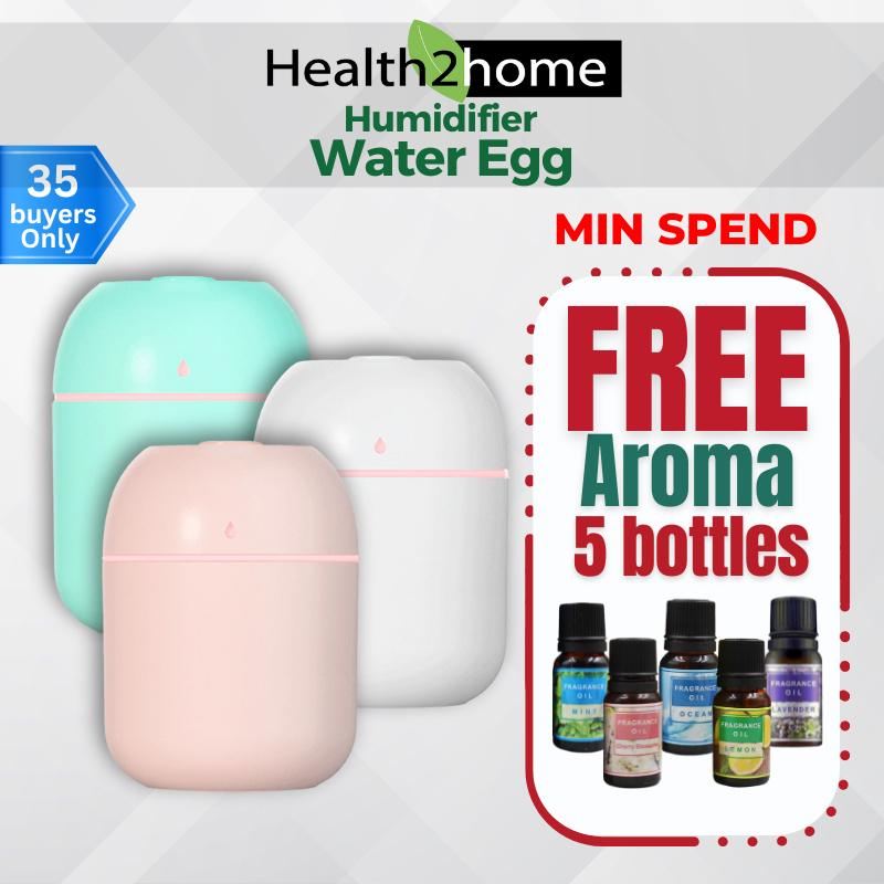 Water EGG Air Humidifier / Diffuser Ultrasonic For Aroma Theraphy in ...