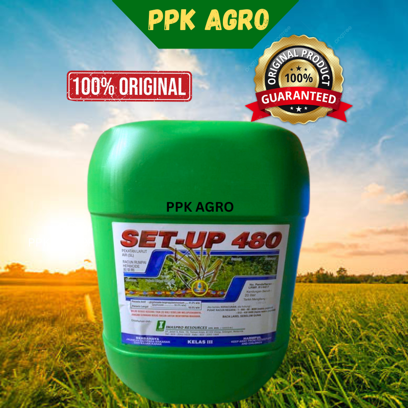 SET-UP 480 20L GLYPHOSATE 41% RACUN RUMPAI /RACUN RUMPUT LALANG/RACUN ...
