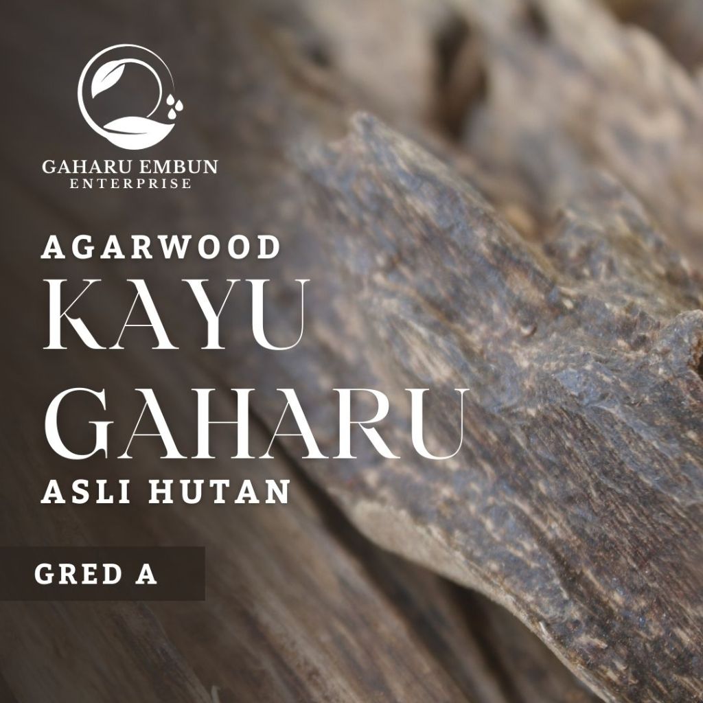 GAHARU EMBUN Gred A Asli Hutan Kayu Gaharu (Agarwood Chip) 1 GRAM | Shopee Malaysia
