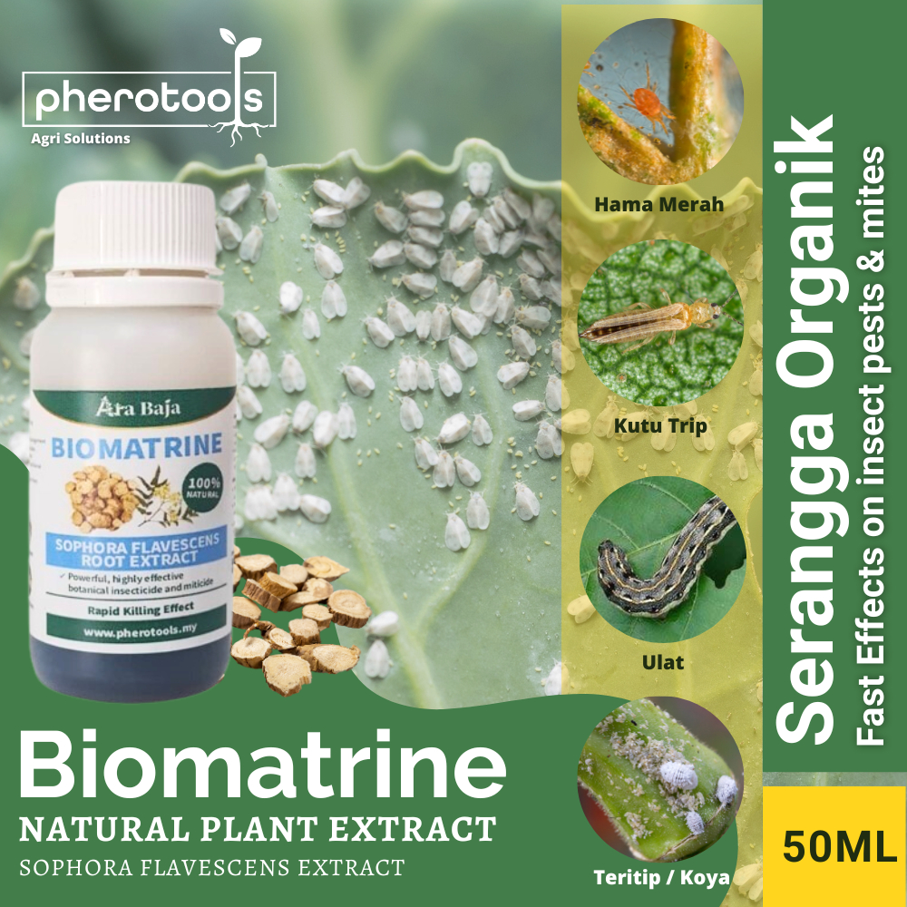 Pherotools 50ML BIO-MATRINE Organic Herbal Biopesticide Organic ...