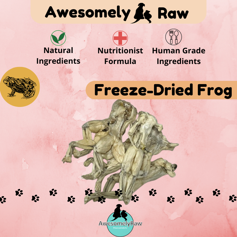 Freeze-dried Frog Toad Pet Snack Pet Dog Cat Treats 宠物零食 冻干田鸡 青蛙 牛蛙 ...