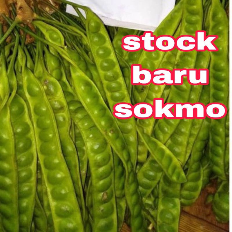 PETAI GRED A MATA BULAT FRESH | Shopee Malaysia