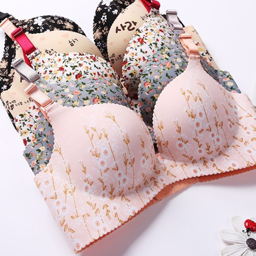 [Shopee Choice] Women Flower Print Seamless Bra Sexy Lingerie Floral ...