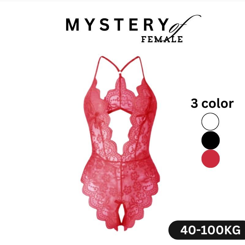 mysteryoffemale Open Bust Open Crotch Lace Transparent Teddies Ribbon ...
