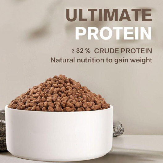 [Shopee Choice] SIMBA Premium Kibbles Makanan Kucing [Direct Dari ...