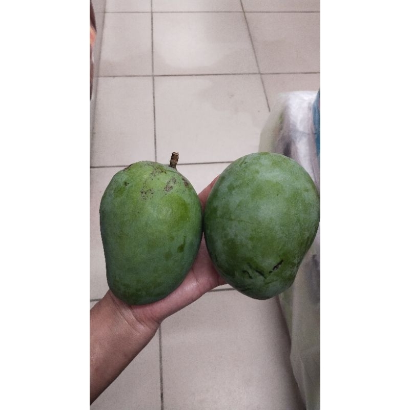 MANGGA MUDA MAS HITAM / MANGGA ASAMBOI @ COLEK | Shopee Malaysia