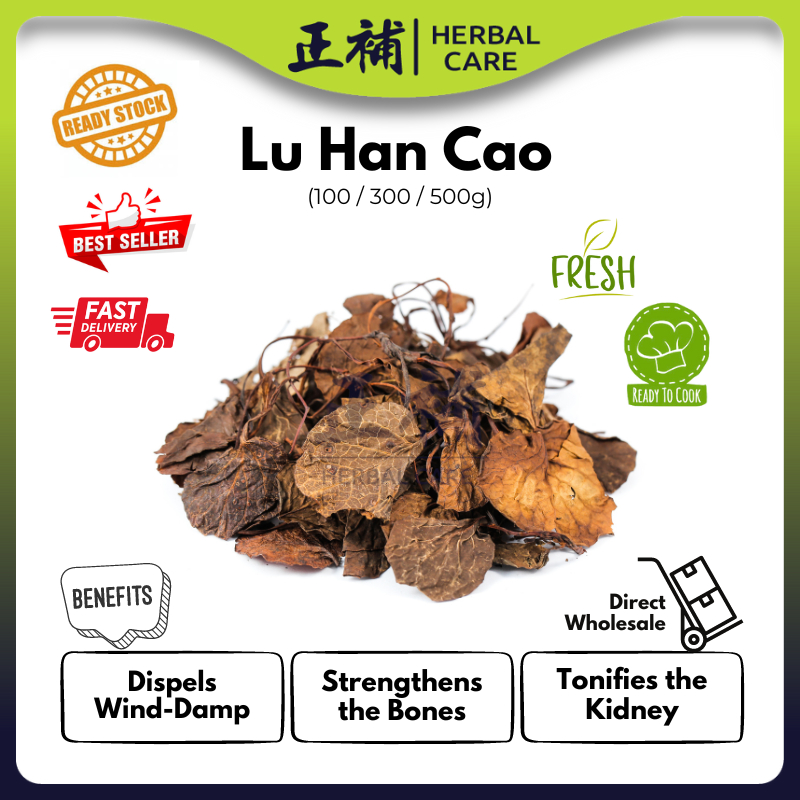 Pyrola Herb (Lu Han Cao) 鹿含草 鹿衔草 鹿蹄草 六含草 Herbal Care | Shopee Malaysia