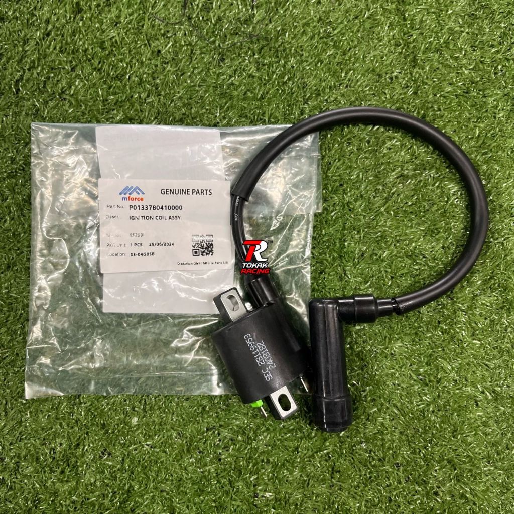 WMOTO ES250I BODY COIL ORIGINAL P0133780410000 | Shopee Malaysia