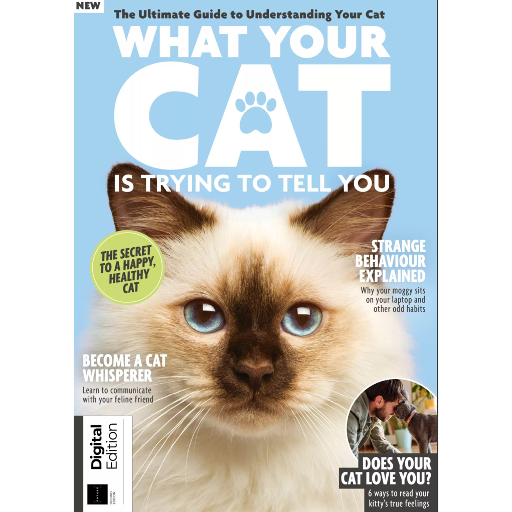 What Your Cat Is Trying To Tell You | Education | Cat Studies | Pet ...