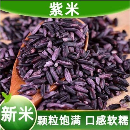 云南普洱紫米Purple Rice Blood Glutinous Rice 500G 粗粮美人健康米 健身 减脂 Beras Ungu 保健 ...