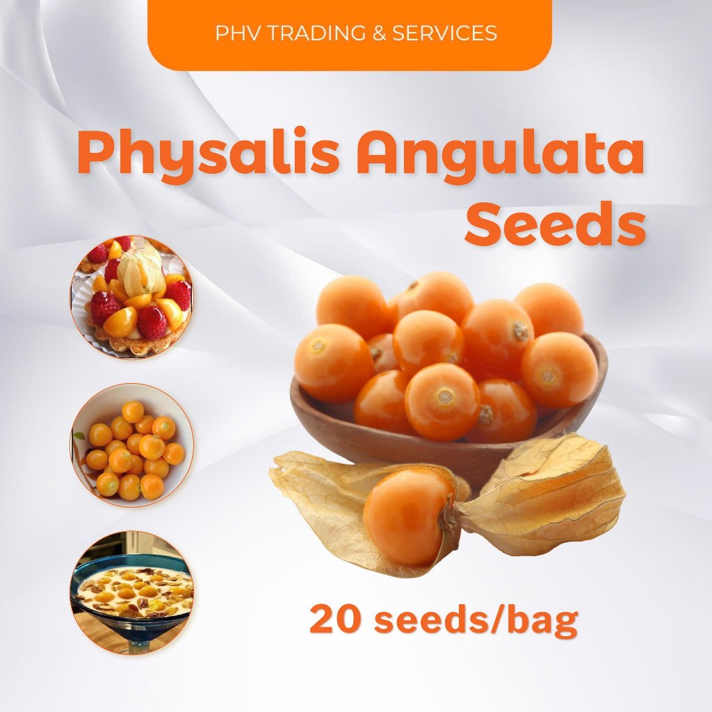 20PCS/bag Physalis angulata seeds, Easy to grow, produces lots of fruit ...