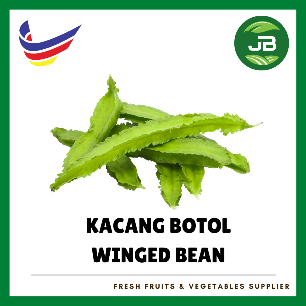 Kacang Botol 四角豆 500g+/- Winged Bean | Shopee Malaysia