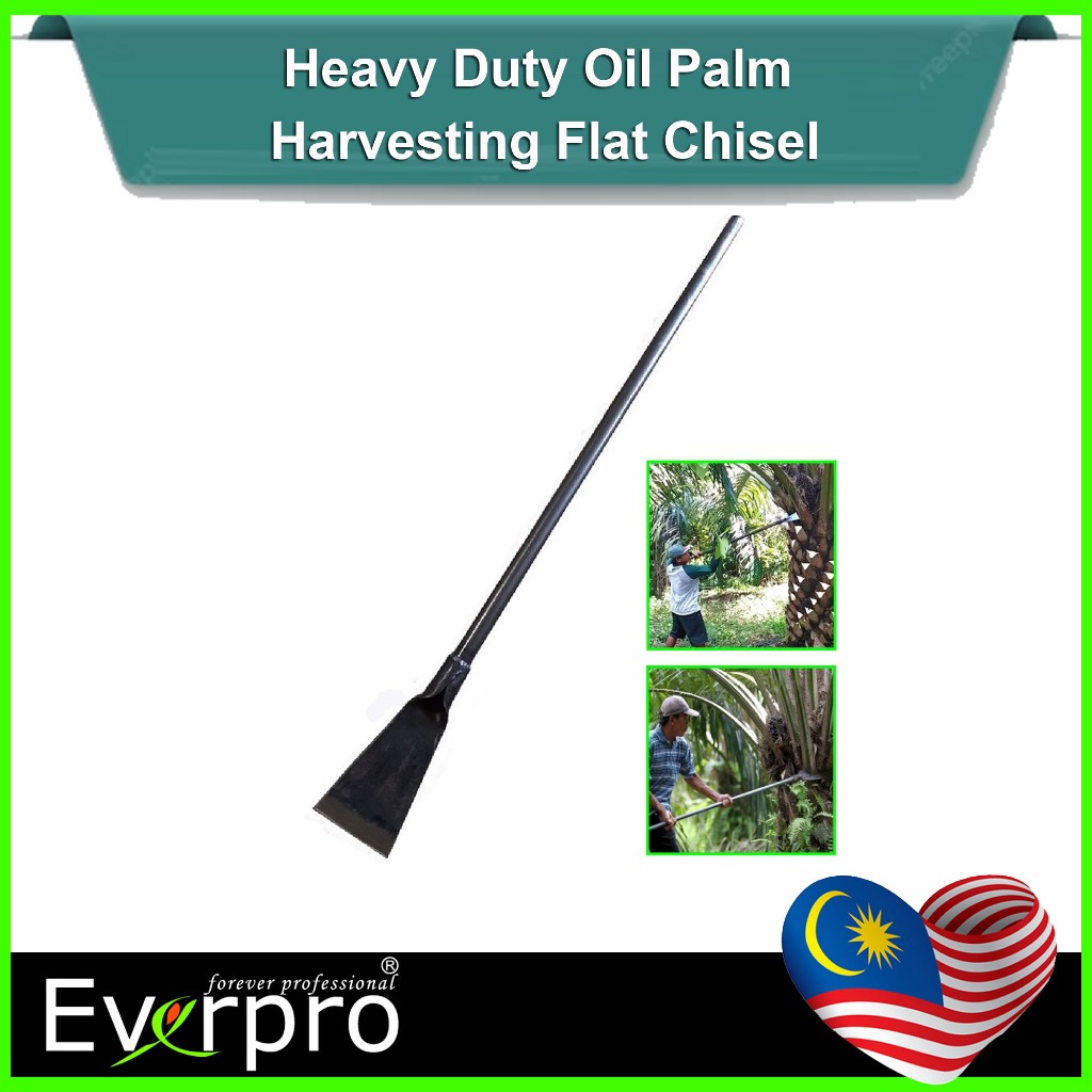 Heavy Duty Oil Palm Harvesting Flat Chisel | Shopee Malaysia