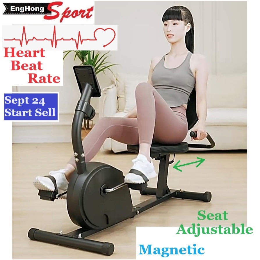 Elder Rehab Bike, Recumbent Exercise Bike, Spinning Bike with Seat, 3D Magnetic Recumbent Bike ...