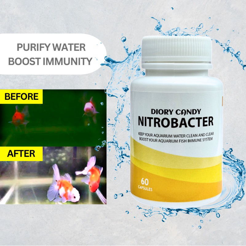 Diory Candy Nitrobacter Clear Water Aquarium Nitrobacteria Improve ...