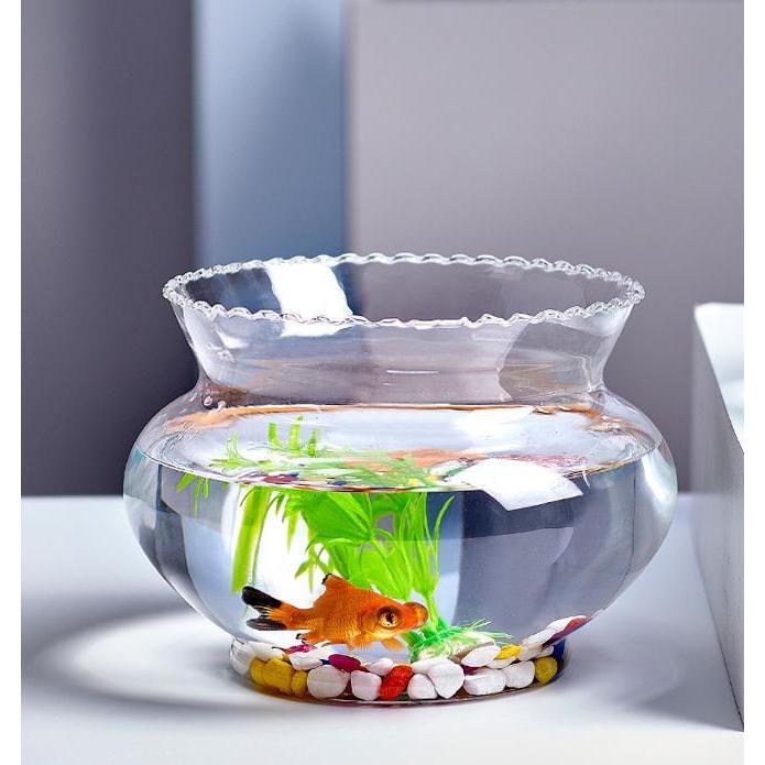 [Floralyst] 16cm x 11cm (Height) Transparent Multipurpose Stylish ...